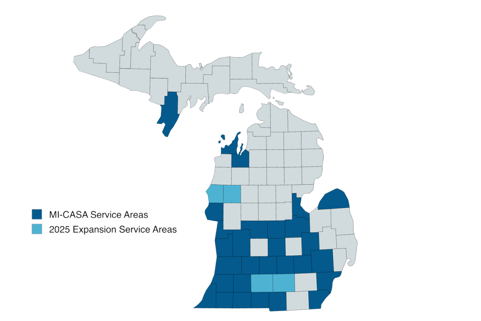 Local Programs – Michigan CASA